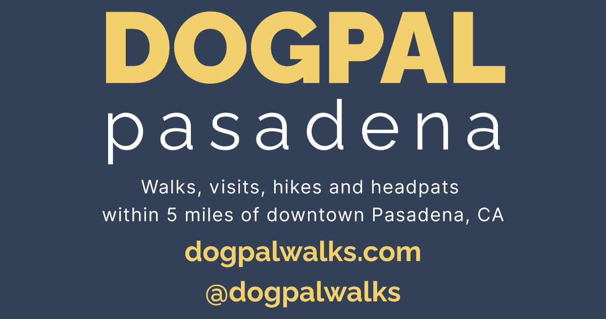 Dog Walking Pasadena | DogPal Walks - Dog Walker Since 2017